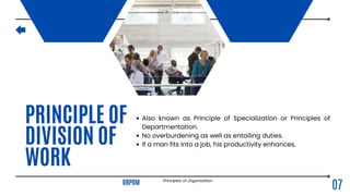 Principles of organization.pdf