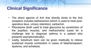 NEUROMUSCULAR JUNCTION | PHYSIOLOGY, MECHANISM & CLINICAL SIGNIFICANCE ...