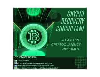 RECOVERY MADE EASY WITH CRYPTO RECOVERY CONSULTANT | PPT