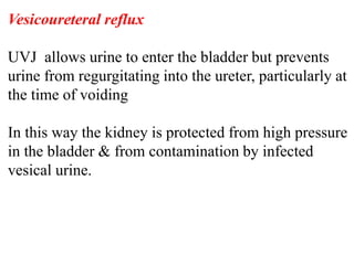 Urinary tract disorders, their management | PDF