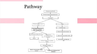 pdf-2b-kelompok-4-ppt-askep-luka-bakar-combustio.pptx