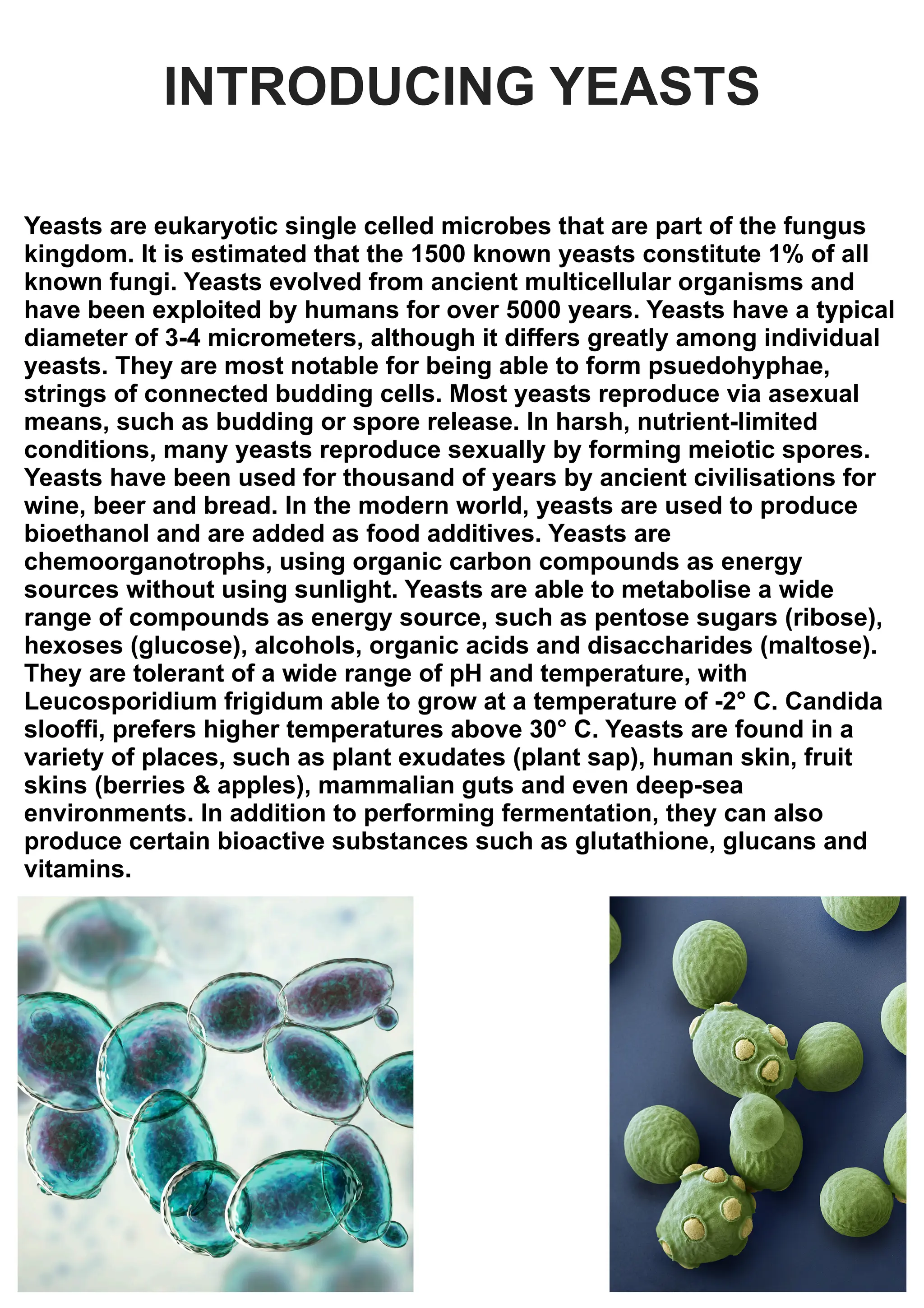 intro_to_yeast_genome_bioinformatics.pdf