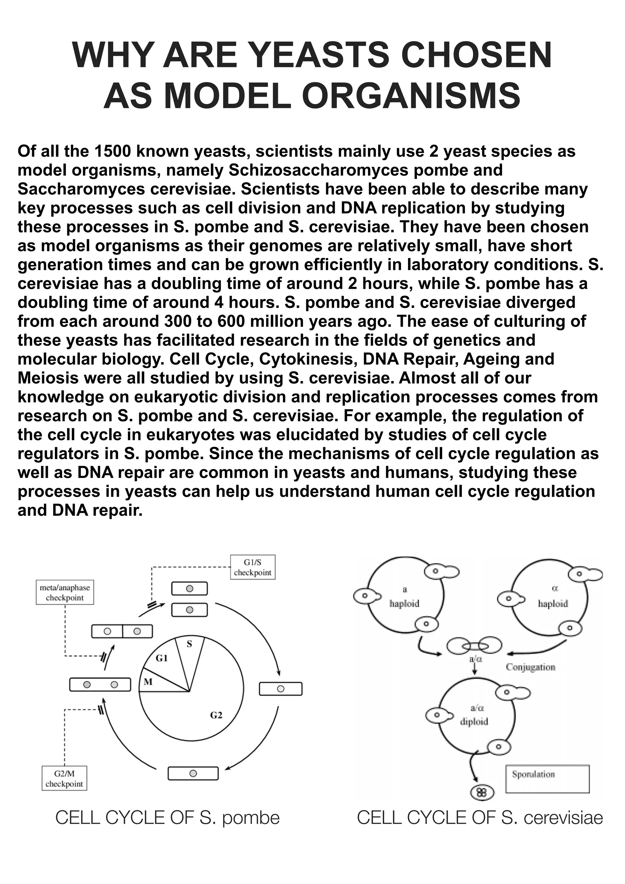 intro_to_yeast_genome_bioinformatics.pdf
