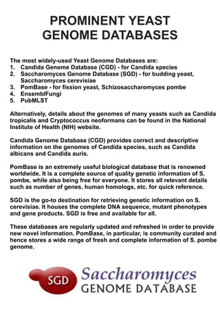 intro_to_yeast_genome_bioinformatics.pdf