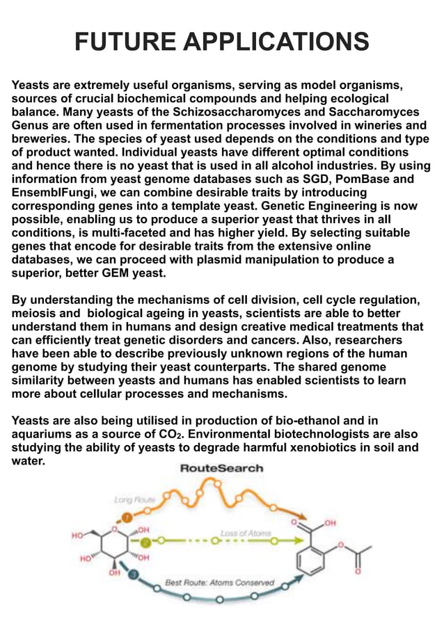 intro_to_yeast_genome_bioinformatics.pdf