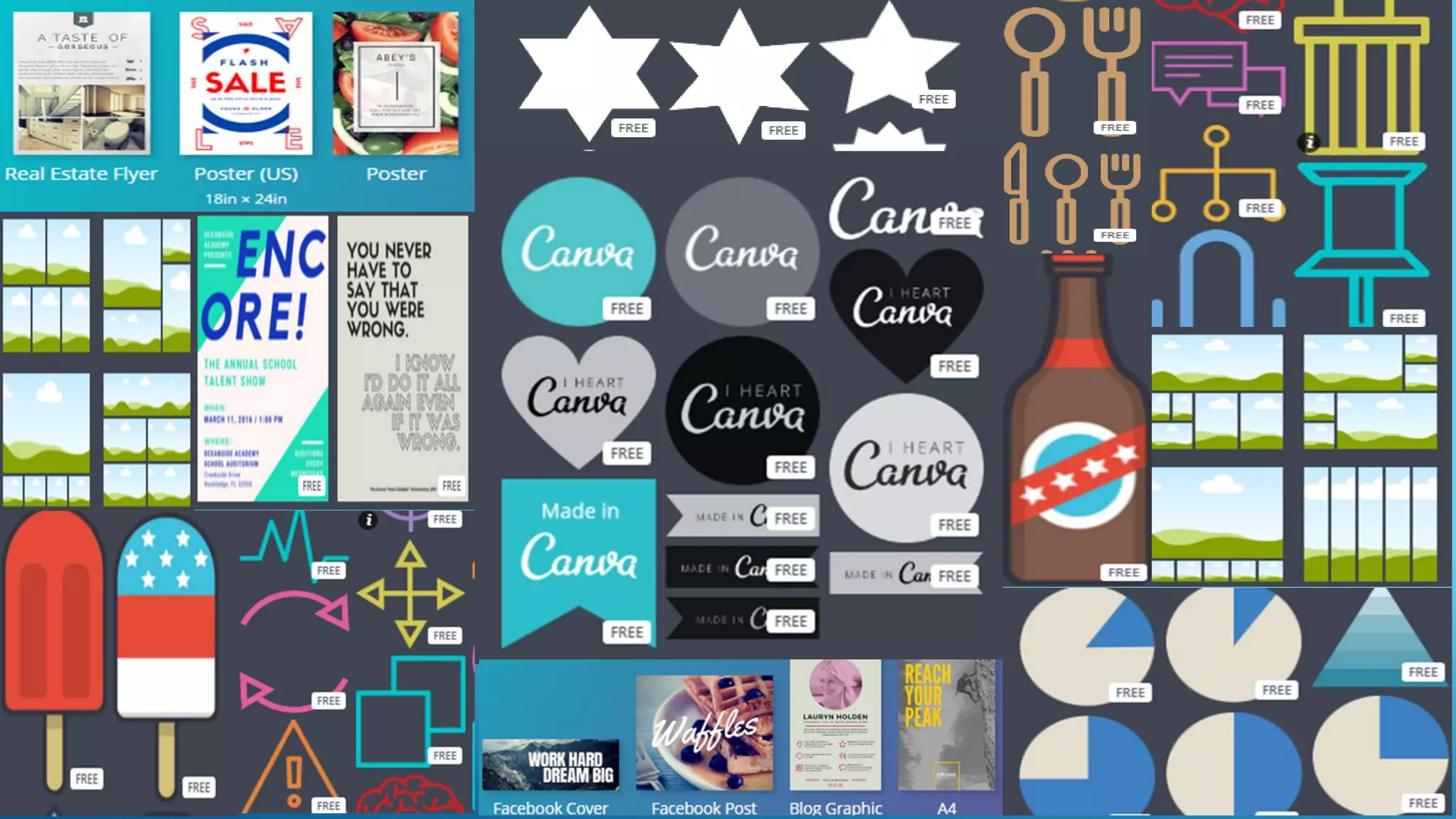 How to Use Canva for Beginners | PDF