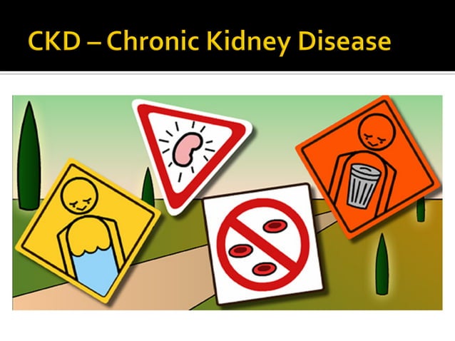 Pdf diabetes & ckd for nurses | PPT