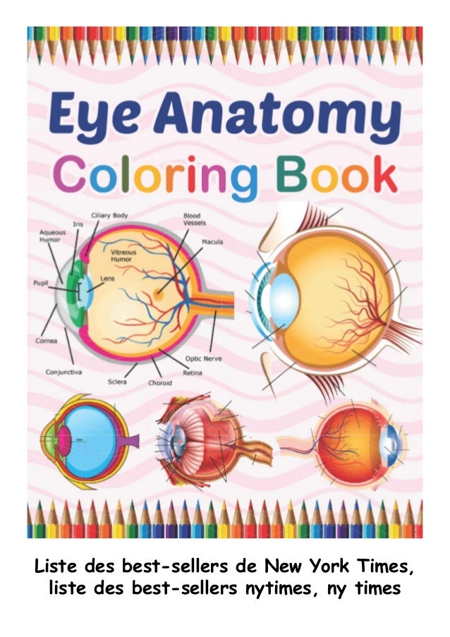 ~PDF DOWNLOADS Eye Anatomy Coloring Book: Human Eye and Human Anatomy ...