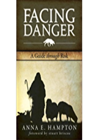 ( PDF ) Facing Danger: A Guide Through Risk