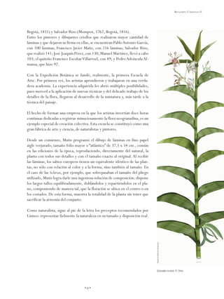 Ilustración botánica | PDF