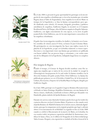 Ilustración botánica | PDF