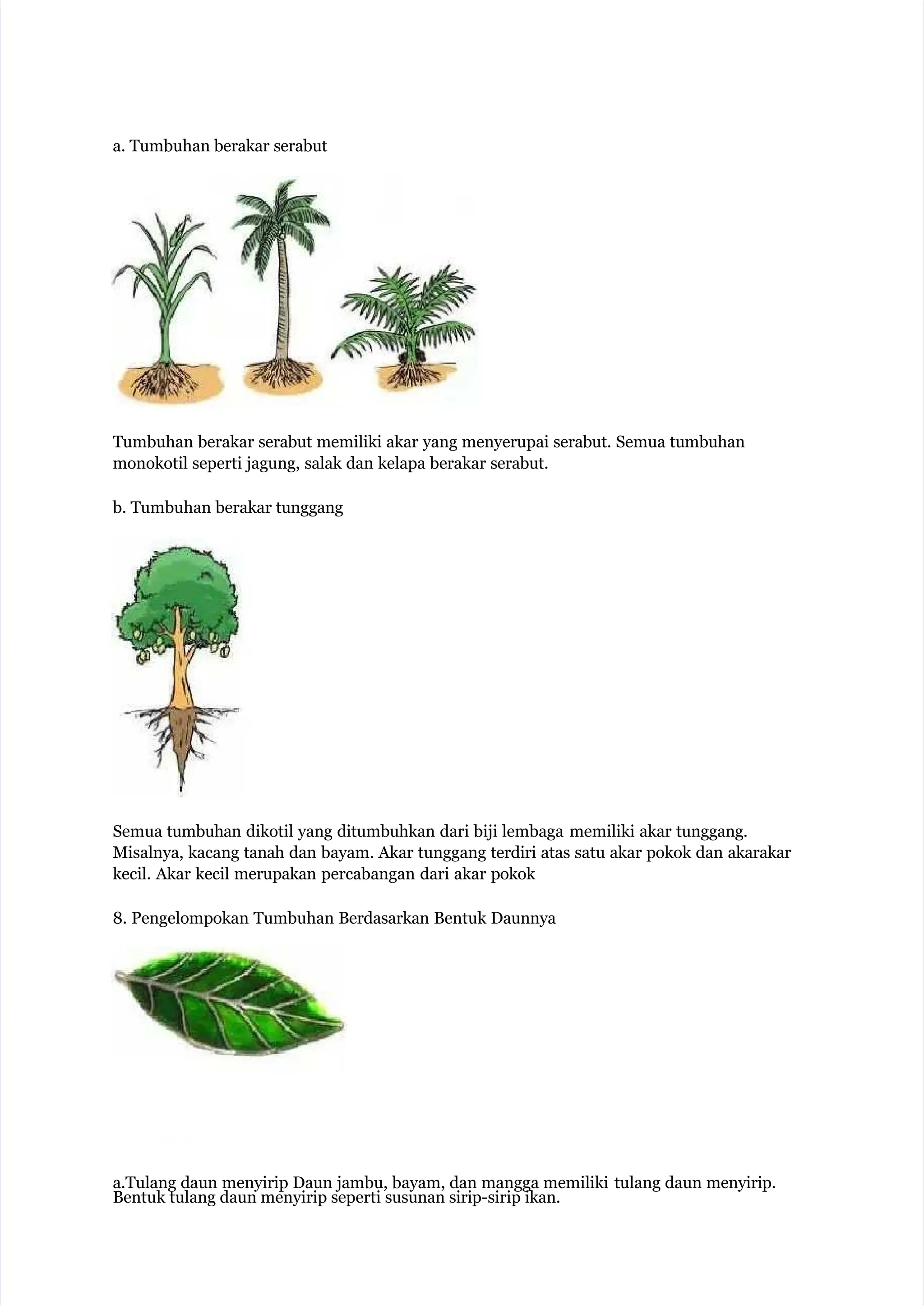 pdf-materi-ipa-kelas-3-sd tugas observasi.pptx