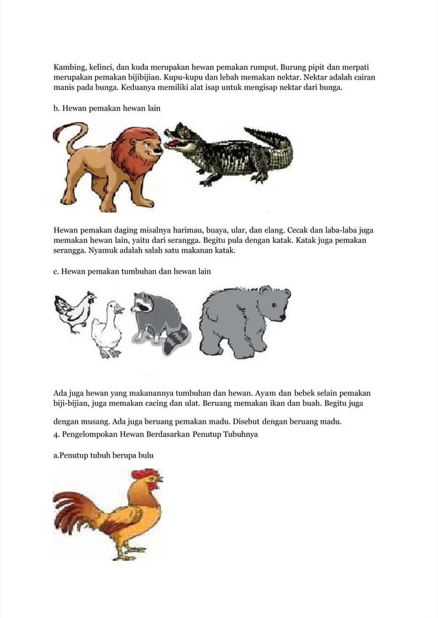 pdf-materi-ipa-kelas-3-sd tugas observasi.pptx