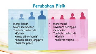 pdf-powerpoint-kesehatan-reproduksi-remaja-ppt-kespro-remaja-_compress (1).pptx