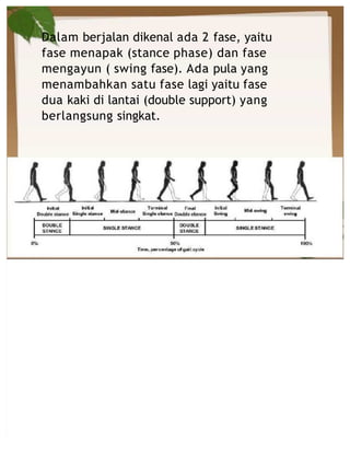 biomekanik fase-fase berjalan pada tubuh manusia | PPTX