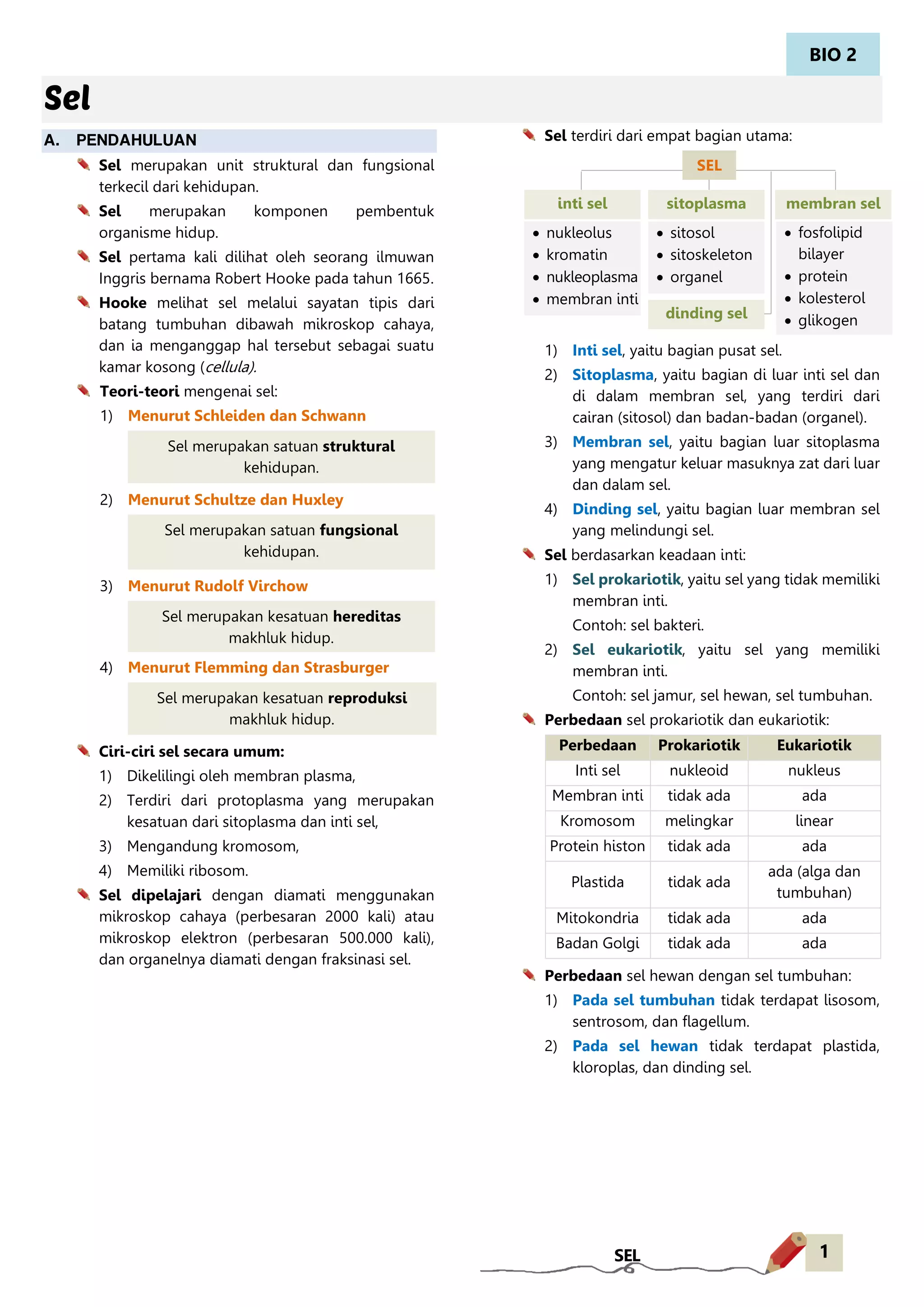 Sel | PDF