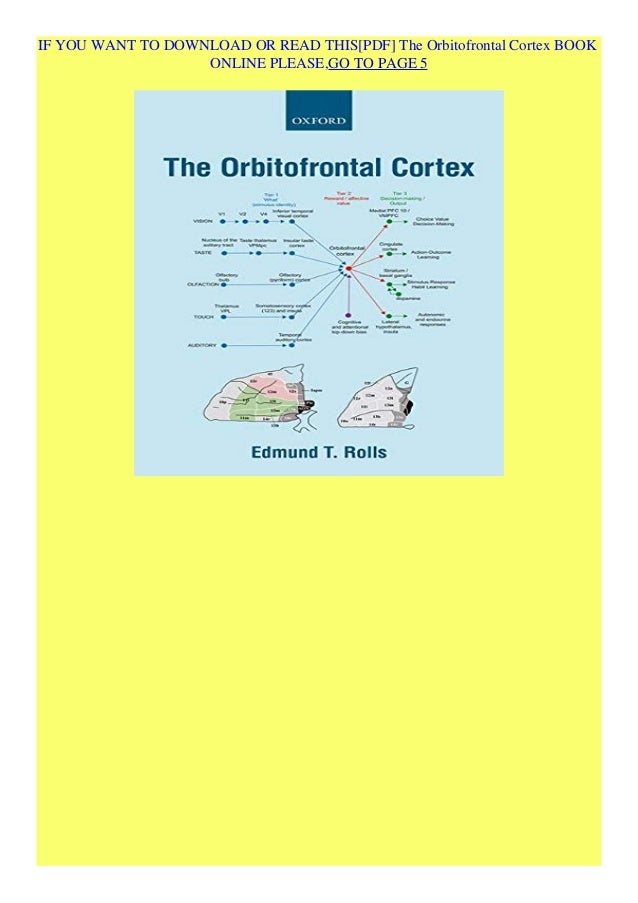 orbitofrontal cortex