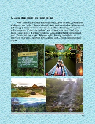 Cagar Alam | PDF