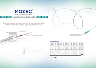 Mozec RX PTCA Balloon Catheters | PDF