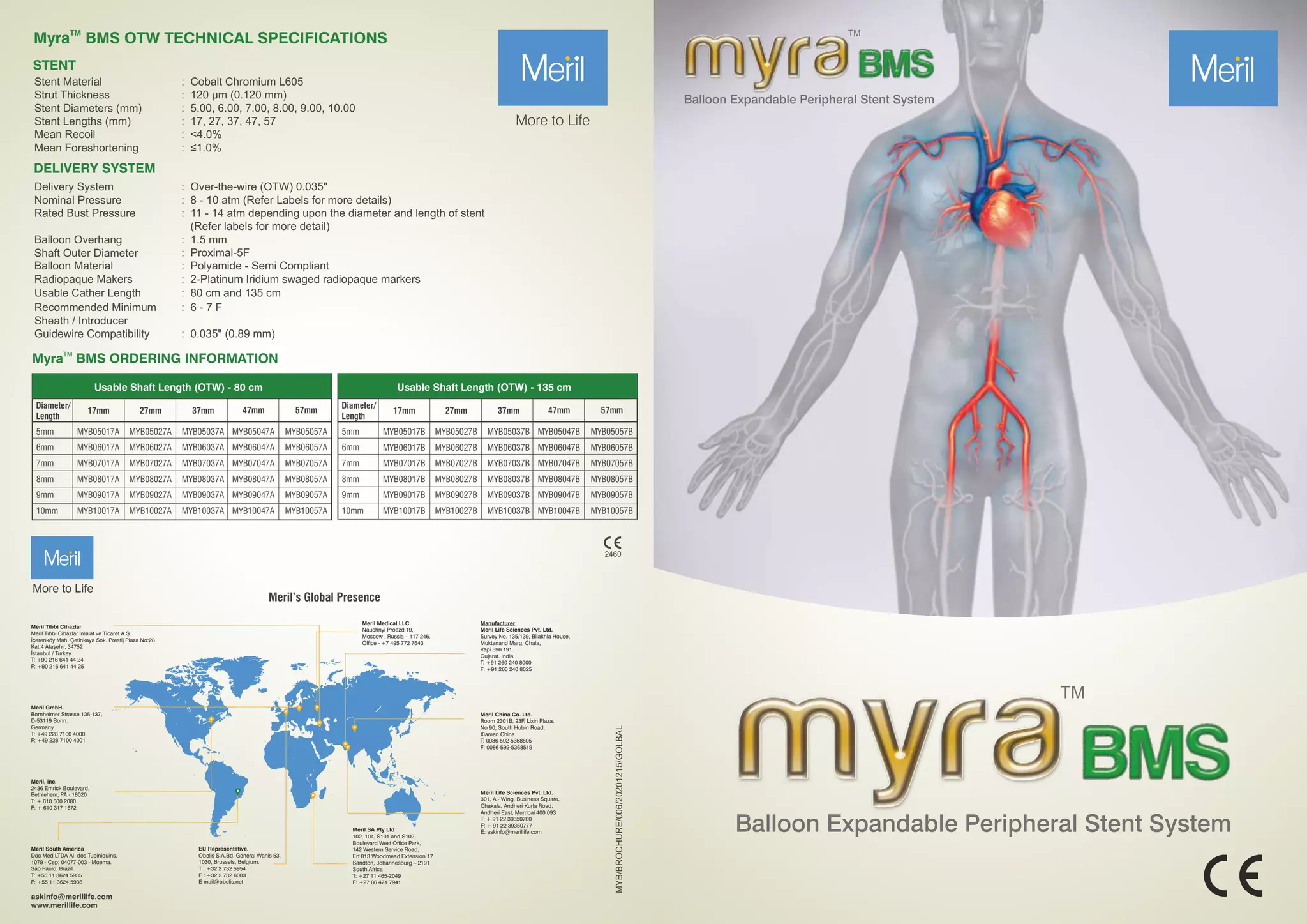 MYRA BMS - Peripheral Stent Brochure | PDF