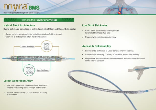 MYRA BMS - Peripheral Stent Brochure | PDF