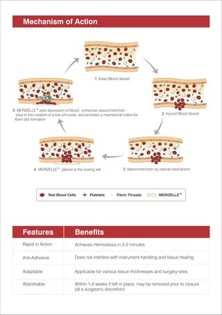 Merizelle: Control of Capillary, Venous etc Haemorrhage | PDF