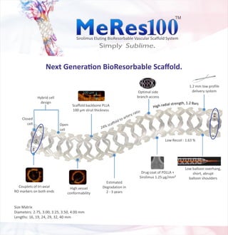 Explore the MeRes100, A Bioresorbable Scaffold Created by Meril Life | PDF