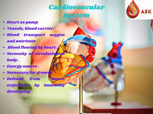 "Health issues related to Cardiovascular System" | PDF