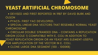 Artificial chromosome | PDF