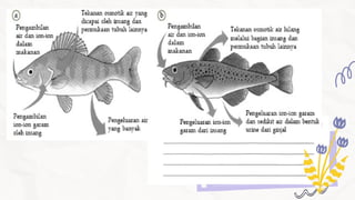 pdf_20220919_063526_0000.pdf