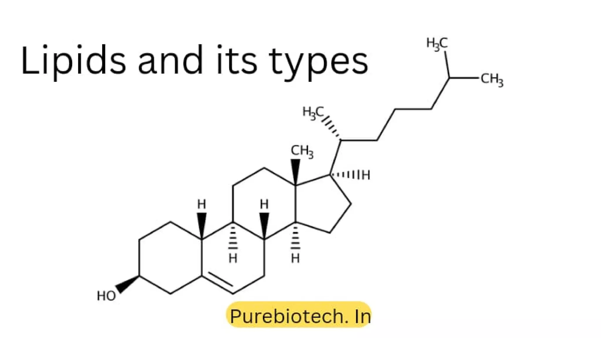 Lipids and types | PDF