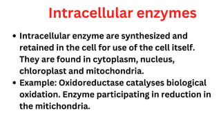 Enzymes, Types and Functions | PDF | Biological Sciences | Science
