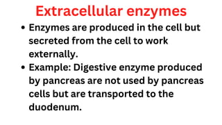 Enzymes, Types and Functions | PDF | Biological Sciences | Science