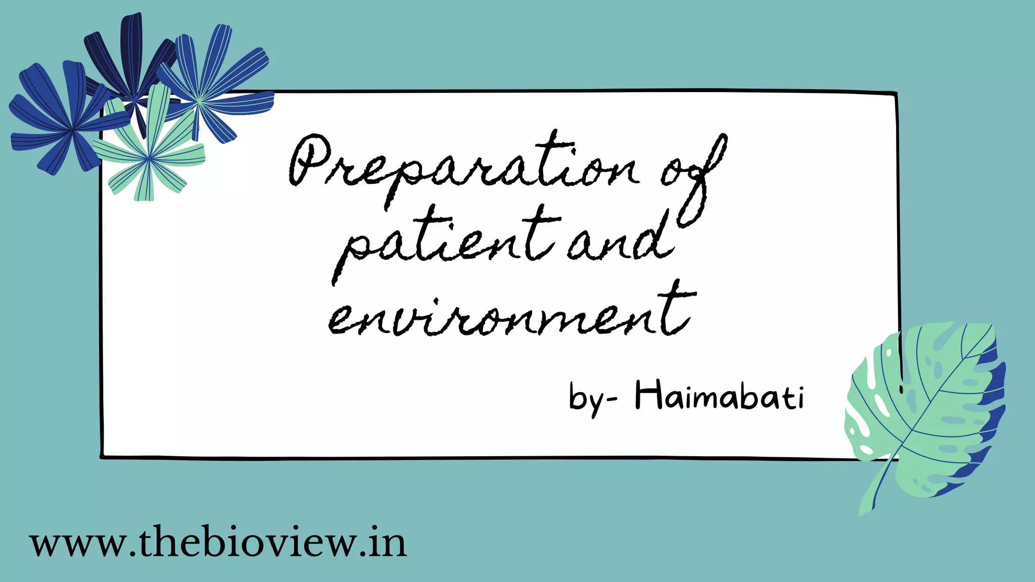 Health Assessment : Preperation of Patient and Environment | PDF