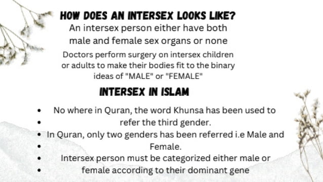 LGBTQ in ISLAM.pdf | Islam | Religion & Spirituality