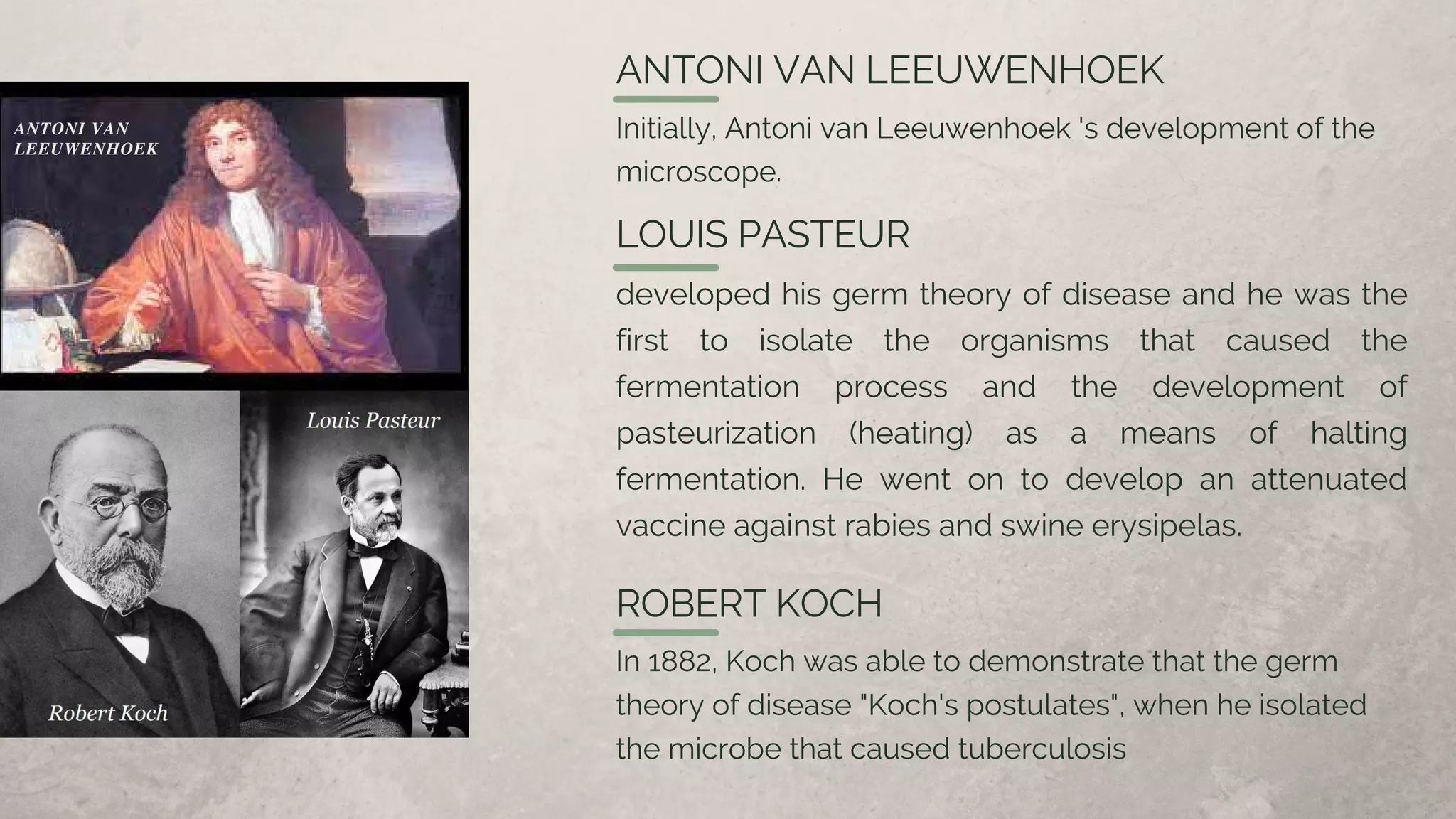 History and development of immunology by Akash.M.P | PDF