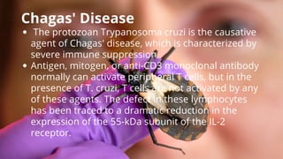 Cytokines by S. Afna | PDF | Blood Disorders | Diseases and Conditions