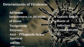 Virulence factor | PPTX