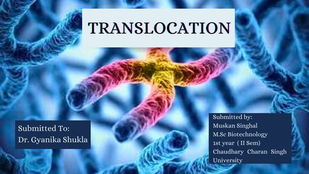 Translocation.pdf