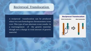 Translocation.pdf
