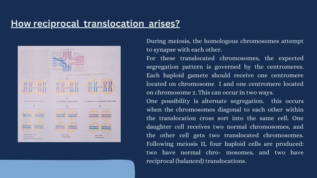 Translocation.pdf