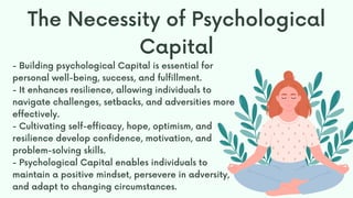 Psychological Capital: Working towards your Mental Wellbeing | Solh ...