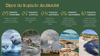 IMPACTO AMBIENTAL - ZULIANGIE PEREIRA | PDF