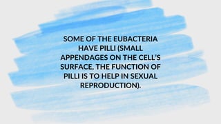 pdf_20230529_093336_0000.pdf