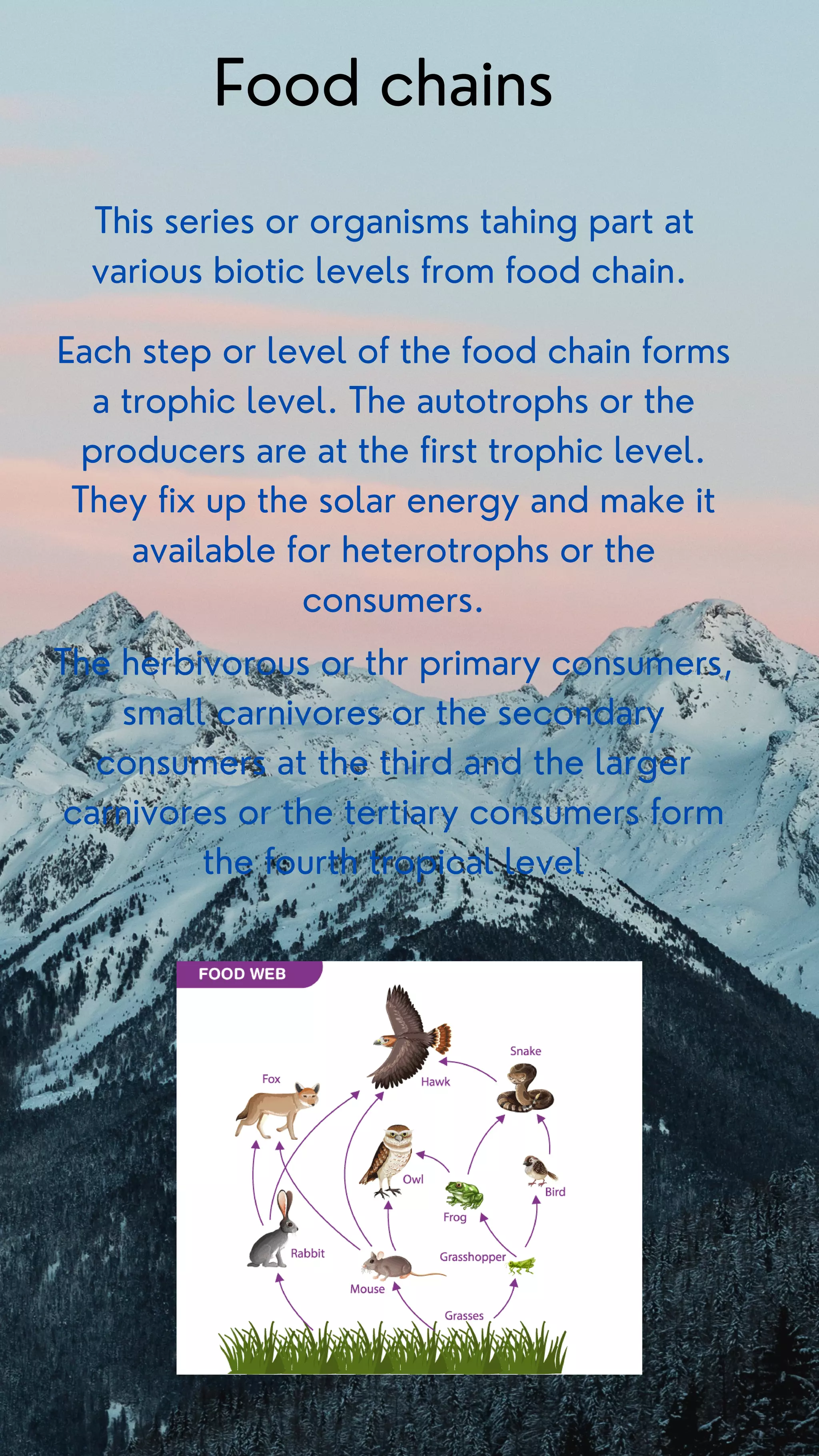 Our environment class 10 | PDF