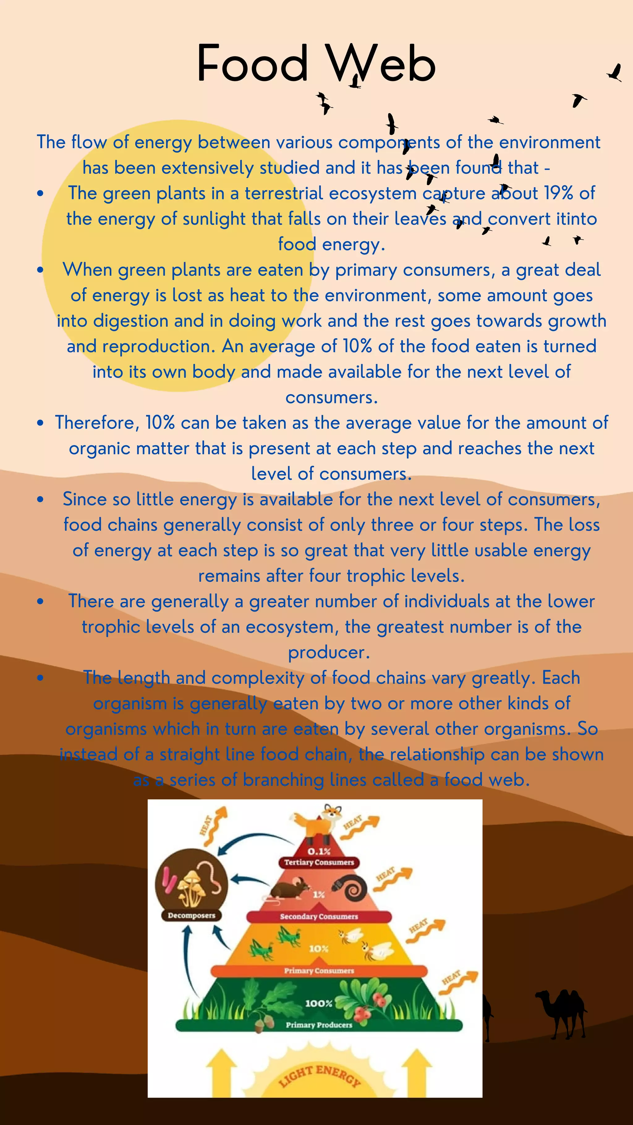 Our environment class 10 | PDF