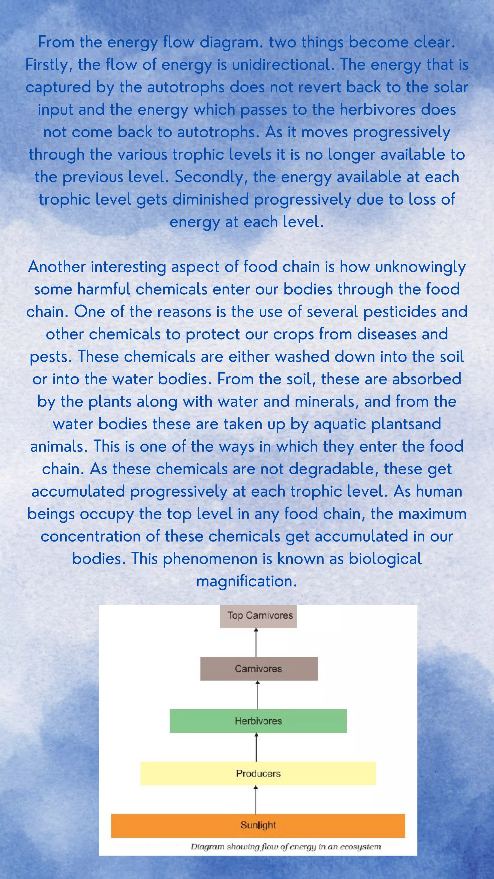 Our environment class 10 | PDF