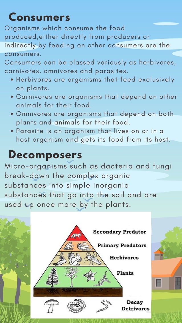 Our environment class 10 | PDF | Environmental Services Industry ...
