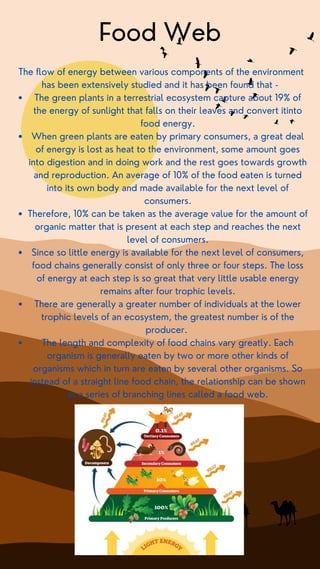 Our environment class 10 | PDF