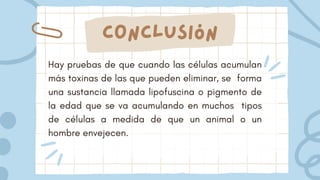 Teoría de la acumulación de productos de desecho | PDF